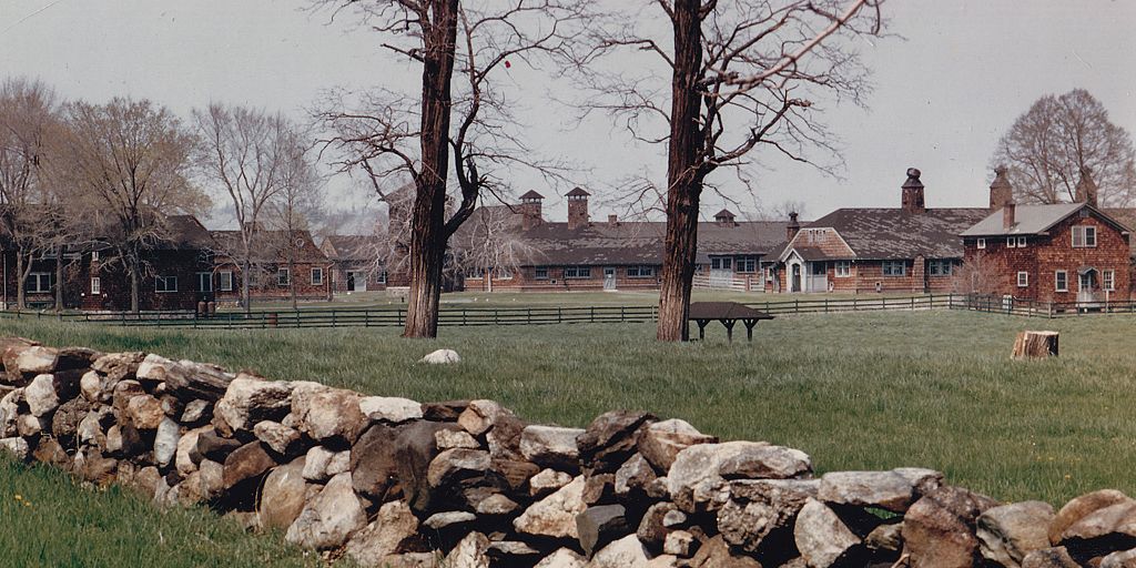 Our Roots • About • Purchase College