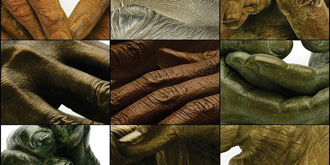 backstory: The artist’s hand • Neuberger Museum of Art • Purchase College