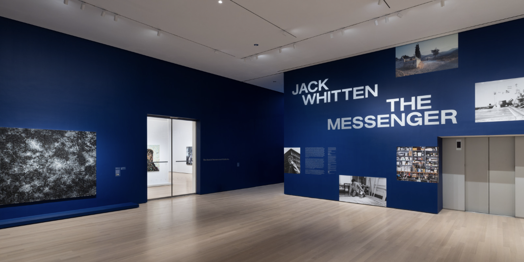 backstory: A show to see • Neuberger Museum of Art • Purchase College