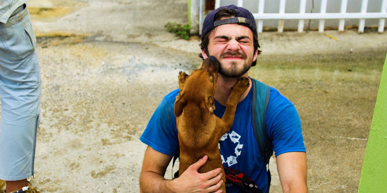 The Purchase Impact: Rebuilding Puerto Rico • Magazine • Purchase College