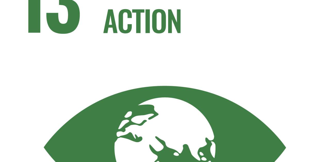Goal 13: Climate Action • Sustainable Development Goals • Purchase College