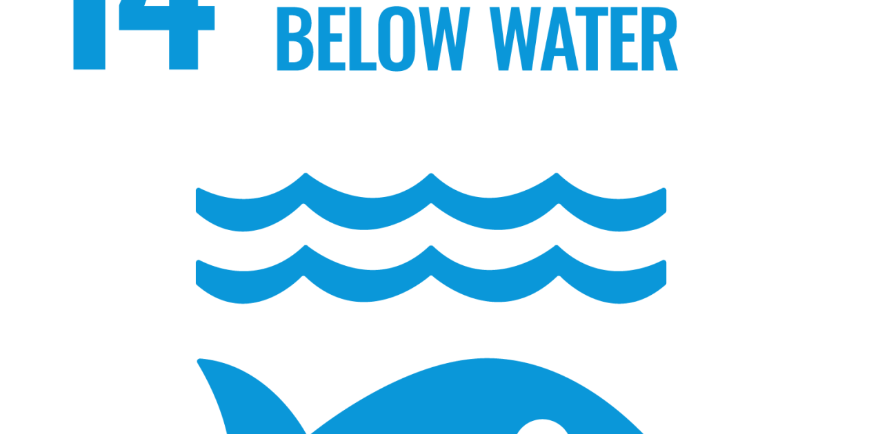 Goal 14: Life Below Water • Sustainable Development Goals • Purchase ...