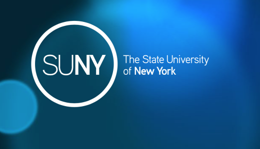 SUNY Chancellor’s Award for Excellence 2019 • News • Purchase College