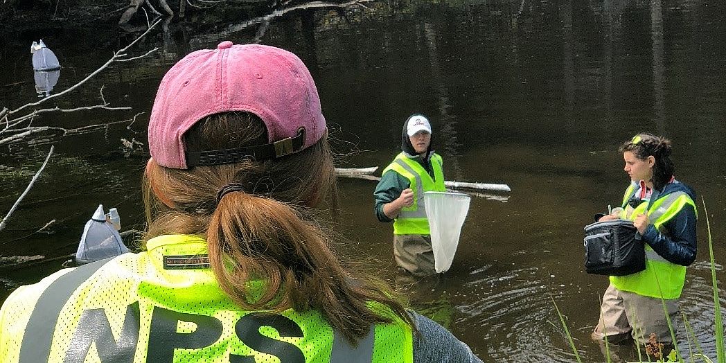 The Acadia Bug Project: Lessons From a Summer of Science • Calendar ...