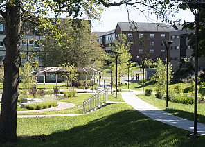 Welcome to Purchase College