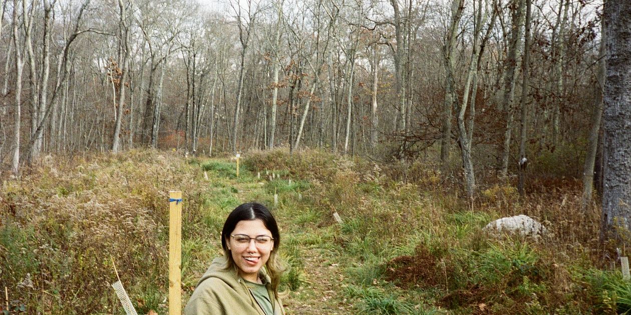 Reclamation: Healing Blind Brook. by Luna • Environmental Studies ...