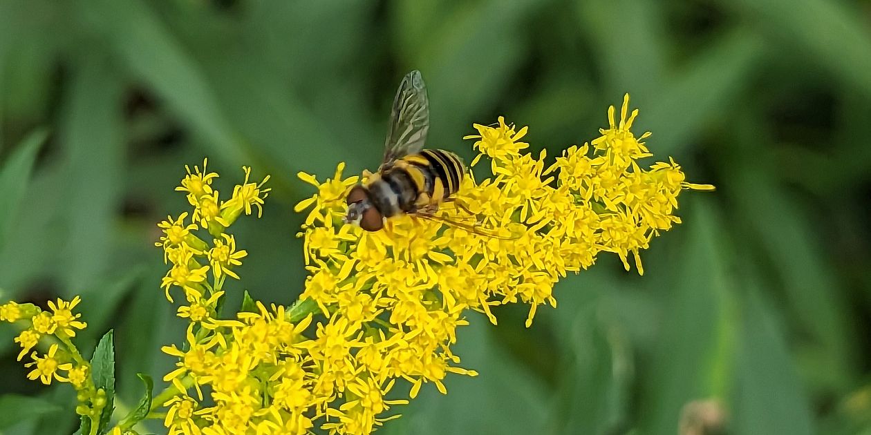 EOP Highlights • Educational Opportunity Program/Merit Access Program ...