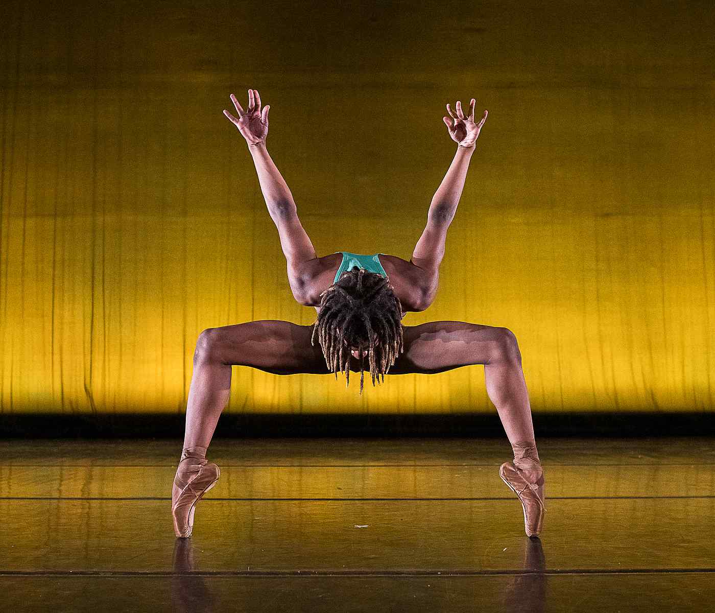 Dance Performance • Purchase College