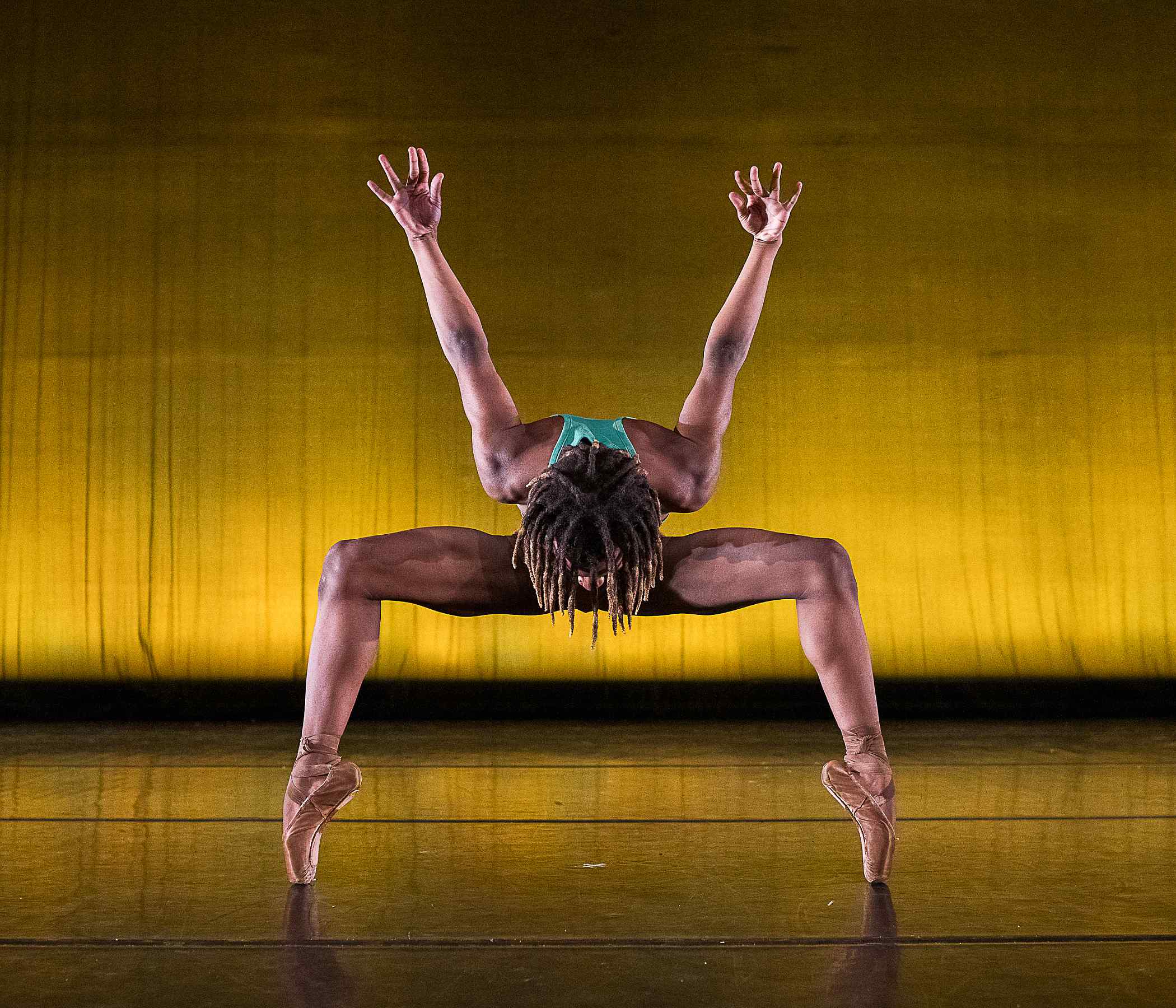 Dance Performance • Purchase College